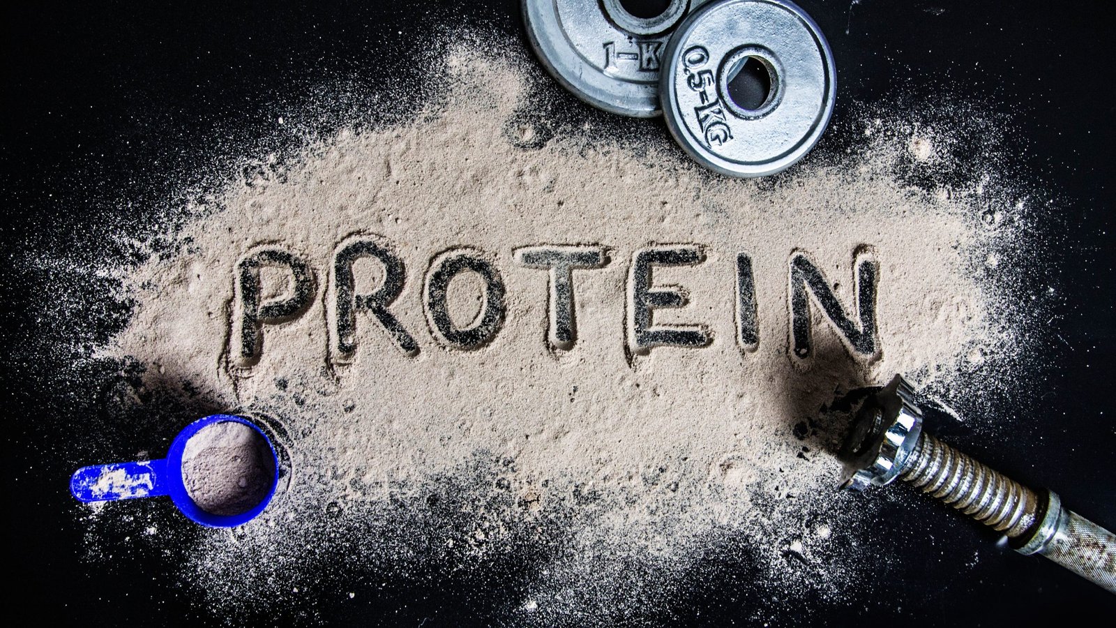 Proteins: Everything You Need to Know About - NuGenomics